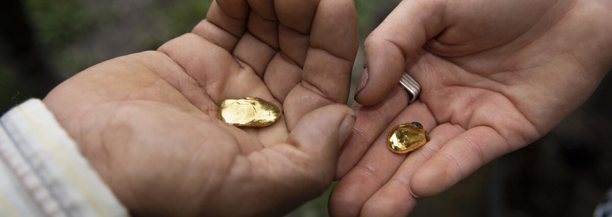 Mercury Poisoning: Impacts and Sources