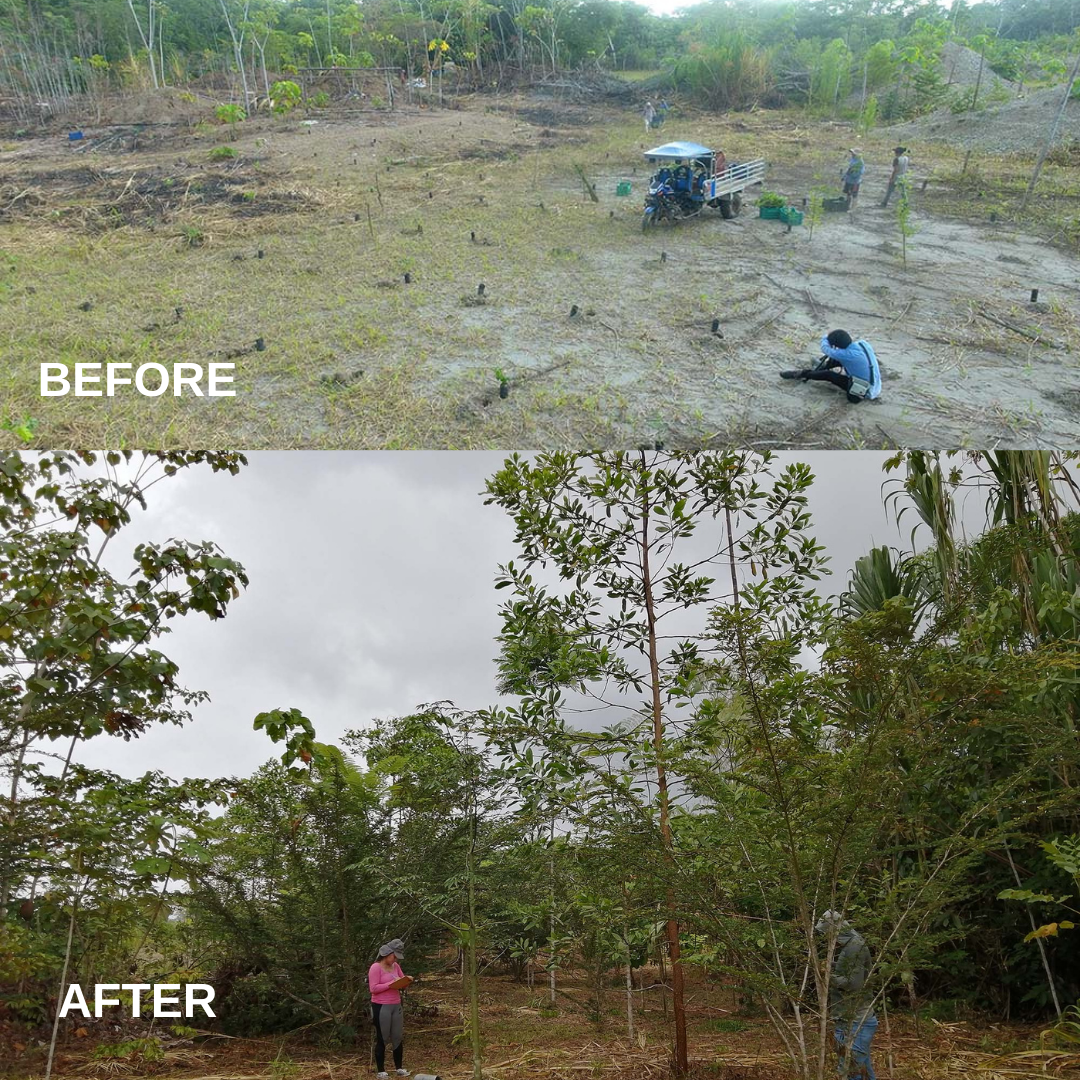 2021 Highlights: The Milestones We Reached, Work Accomplished - Pure Earth