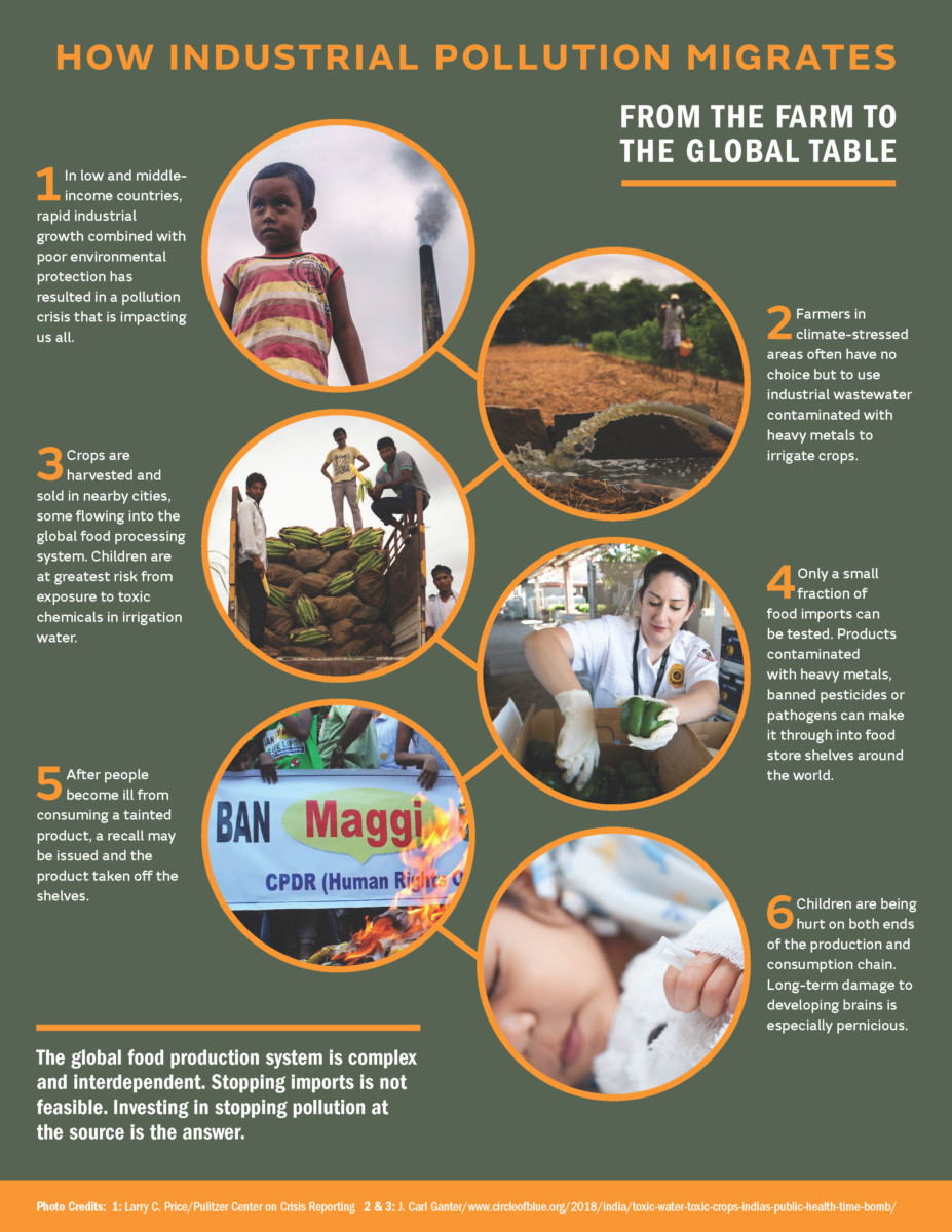 Pollution Knows No Borders - Pure Earth