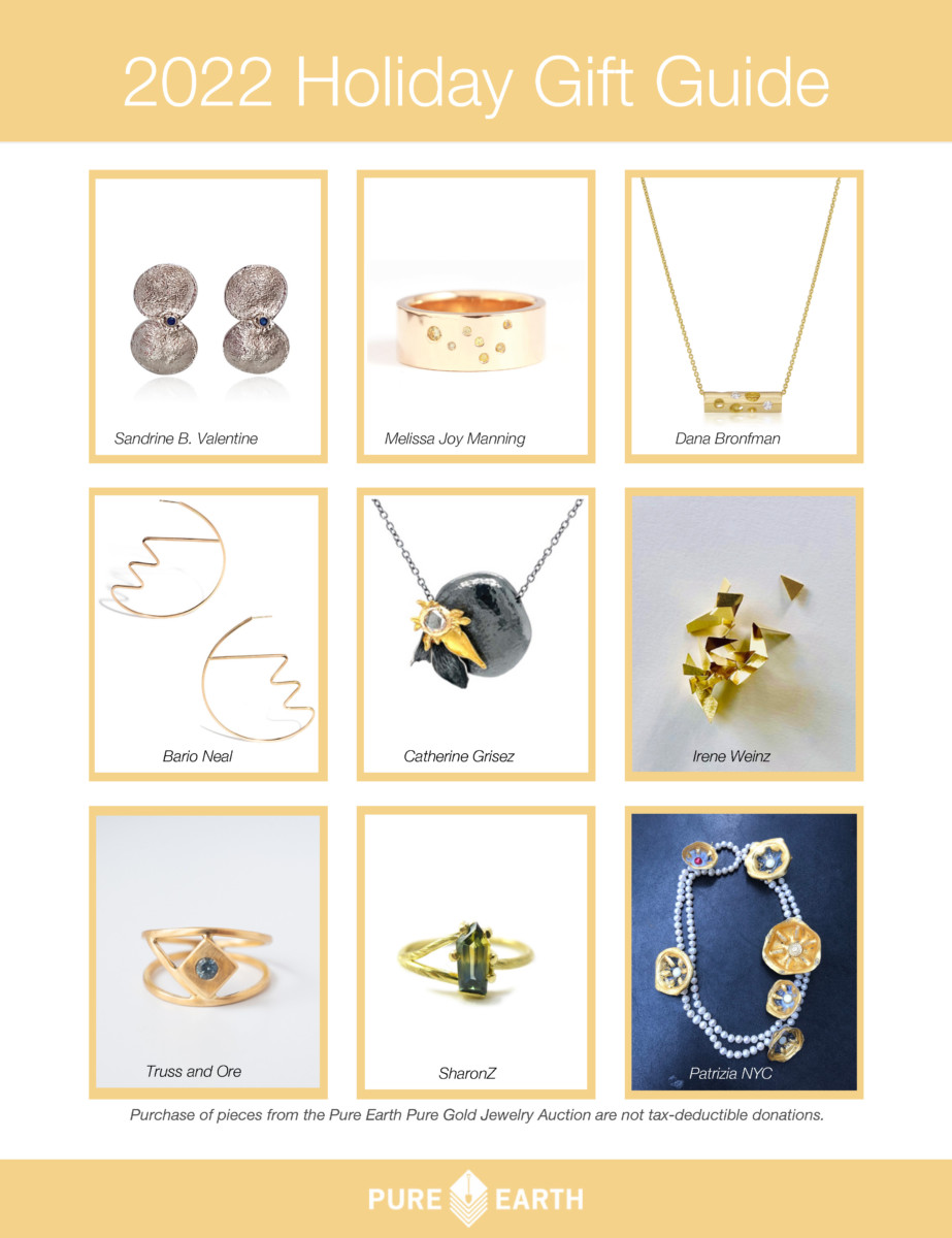 Pure Earth Solve Pollution Gift Guide - Pure Earth