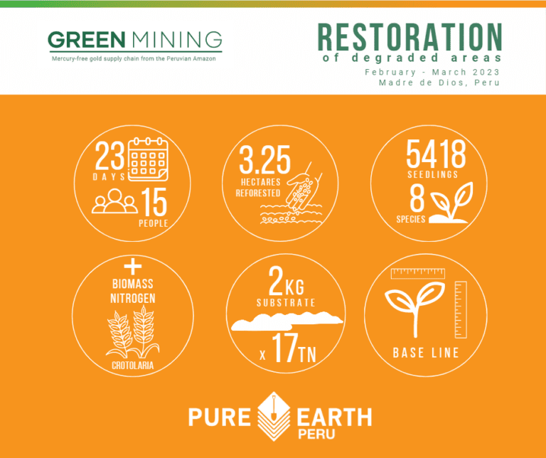 Restoration of degraded areas in the Amazon: a boost to recover ...