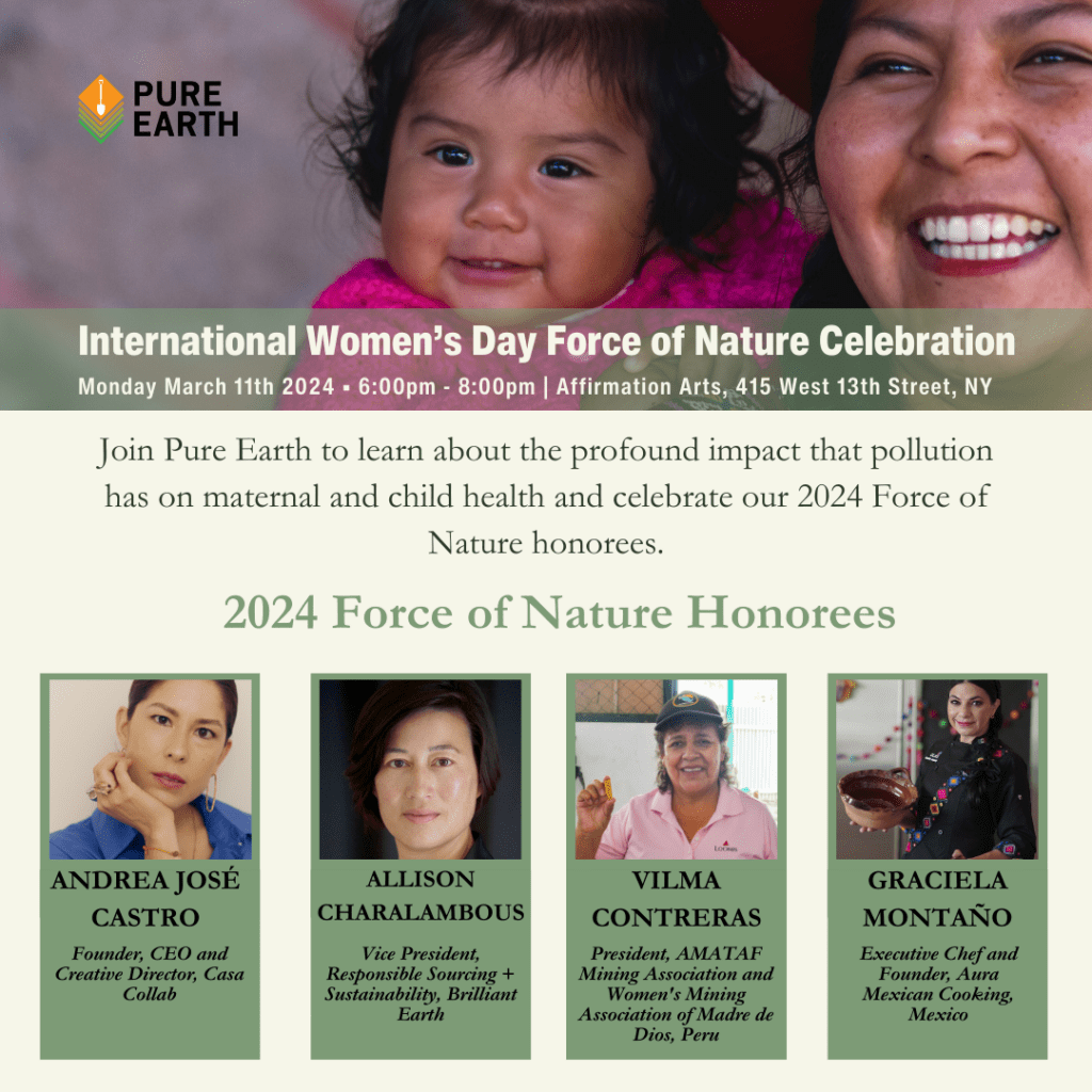 Honoring Pollution Fighters: Pure Earth’s 2024 Force of Nature Honorees ...
